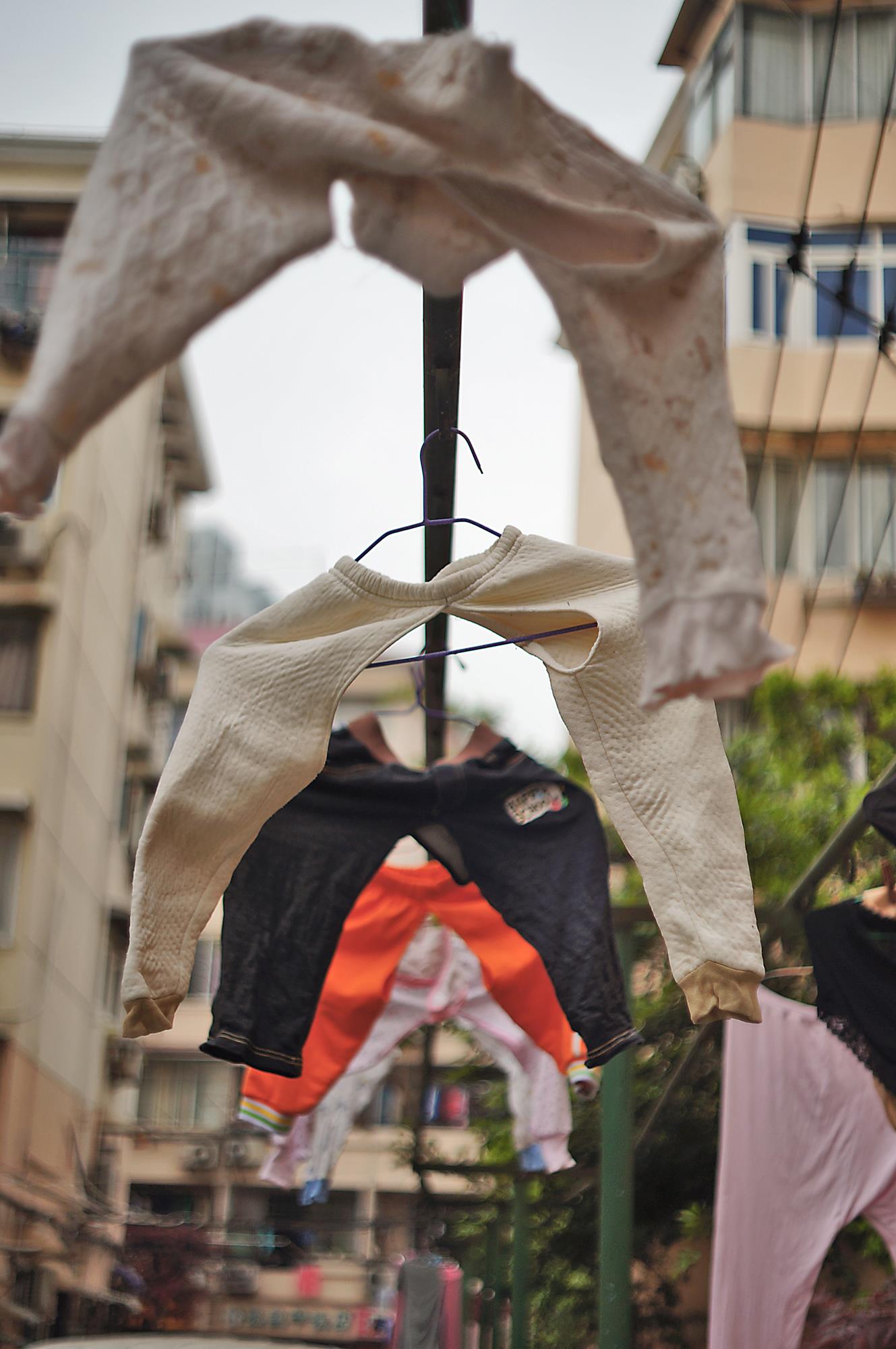 F.Zuiko 38mm f1.8 Lens Review - My Favourite Lens